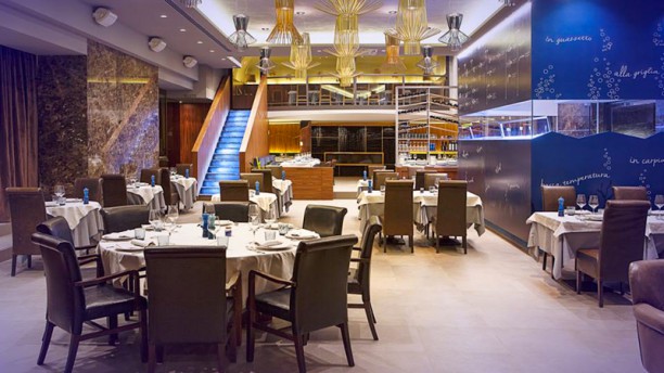 Blu blu blu restaurant a Milano - Menu, prezzi, immagini, recensioni e ...